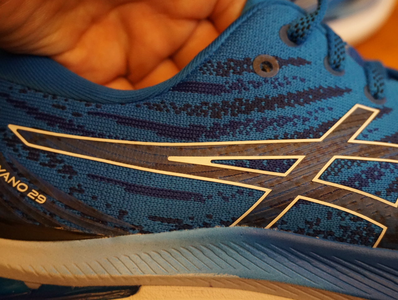 GEL-KAYANO 29（ゲルカヤノ29）を履いて評価レビュー：虎に翼が生えたら強くなるのかな実際のところ。 - ニートブログむらくもの野望